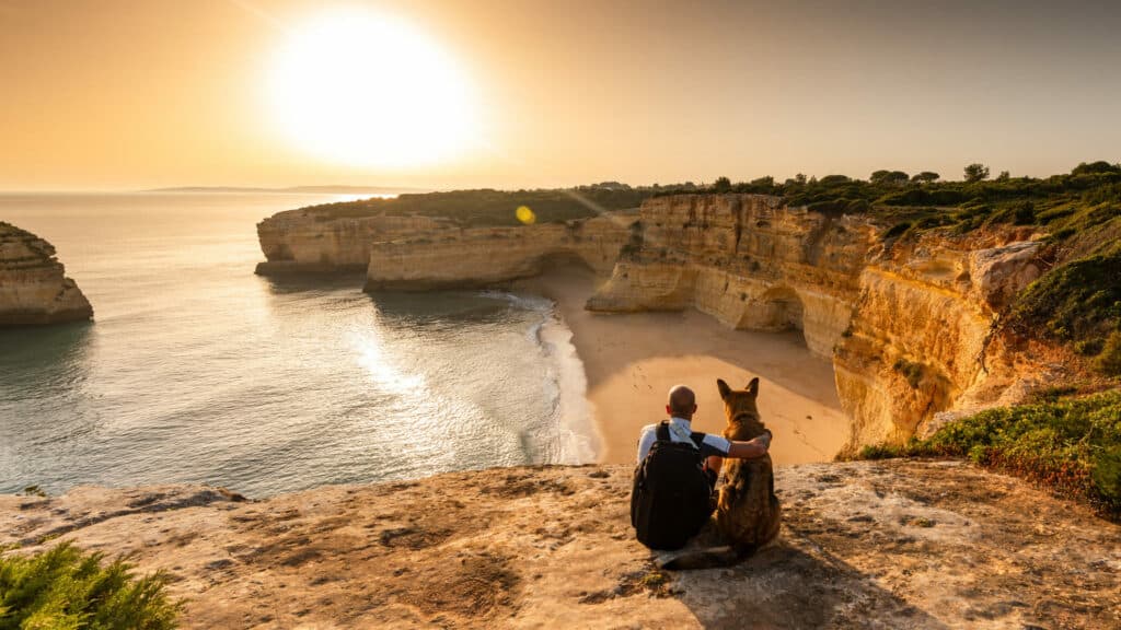 Insurance in Portugal for Expats in 2026: Public and Private Insurance ...